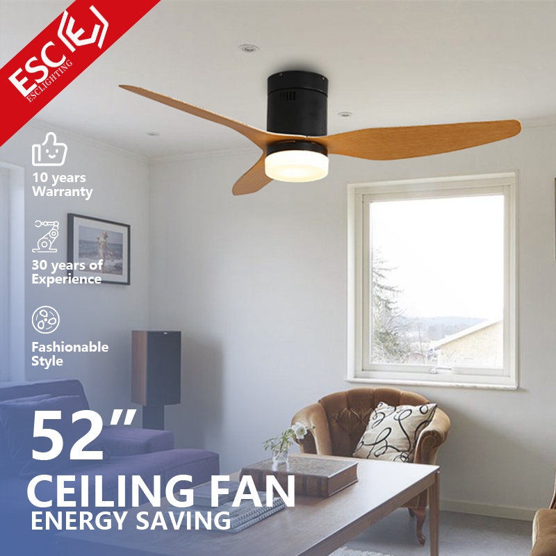 JIANGMEN ESCLIGHTING TECHNOLOGY LIMITED – JIANGMEN ESCLIGHTING ...